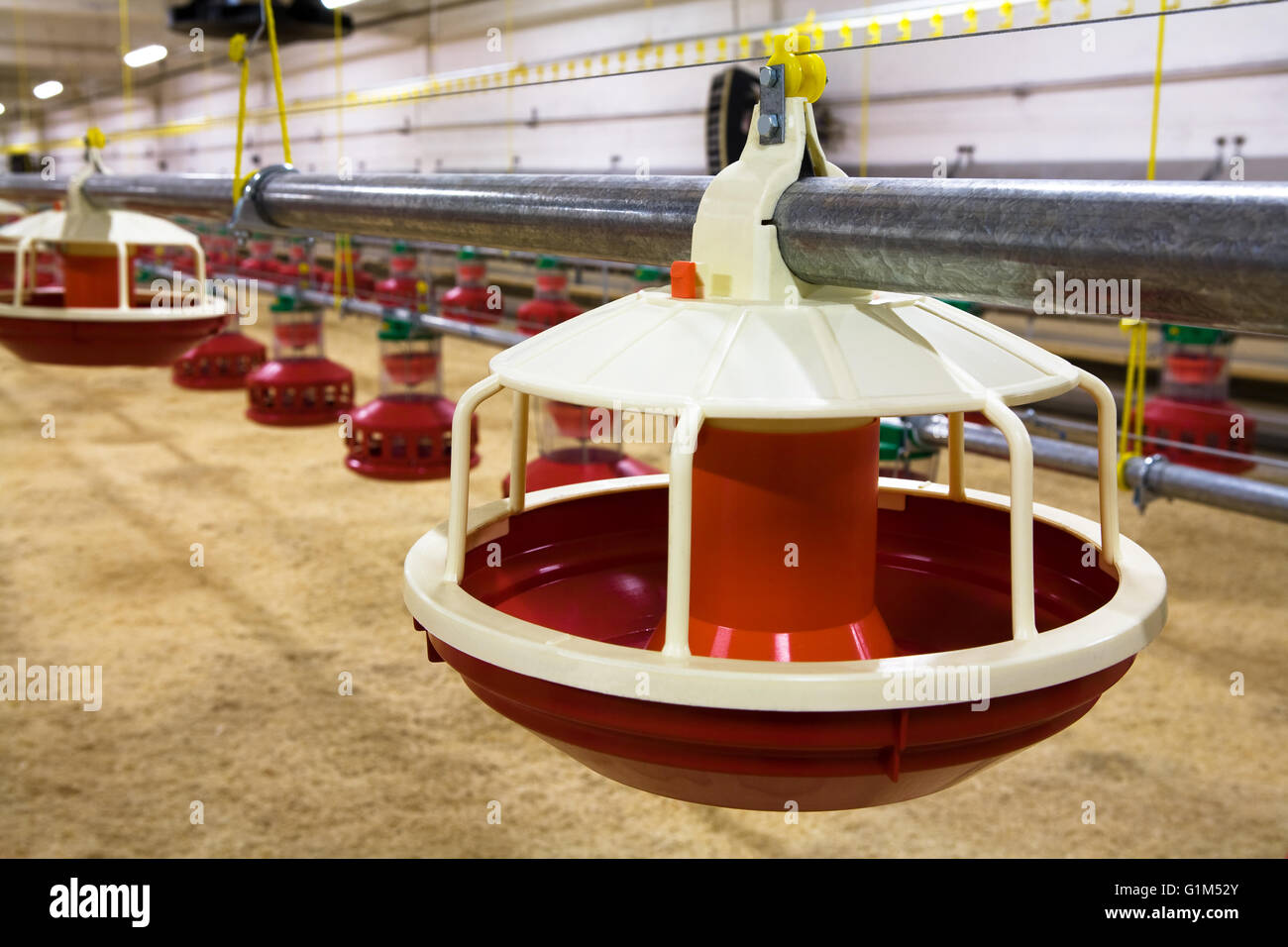 The modern and new automated integrated poultry farm Stock Photo - Alamy
