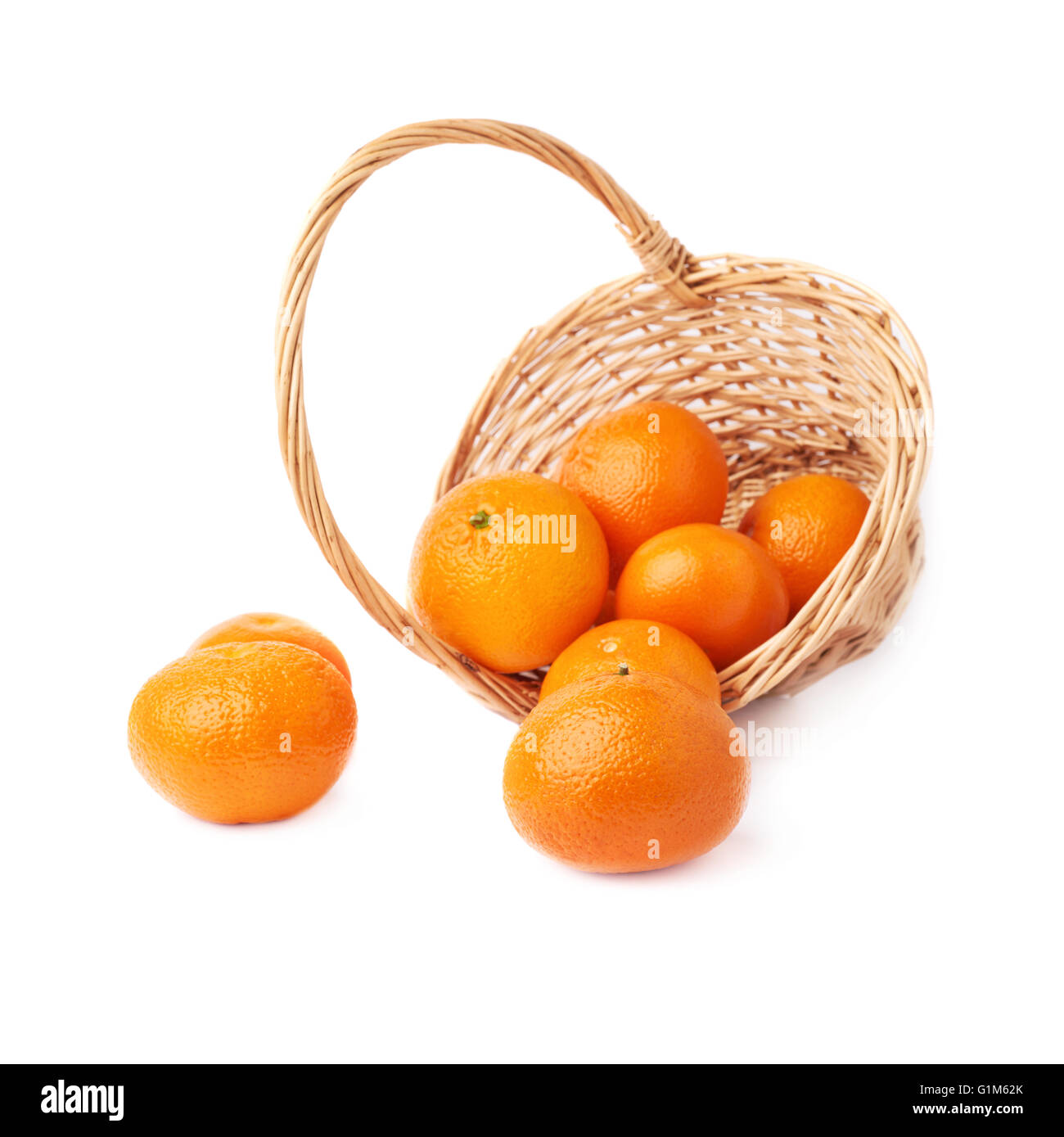 Wicker basket full of multiple ripe fresh juicy tangerines, composition ...