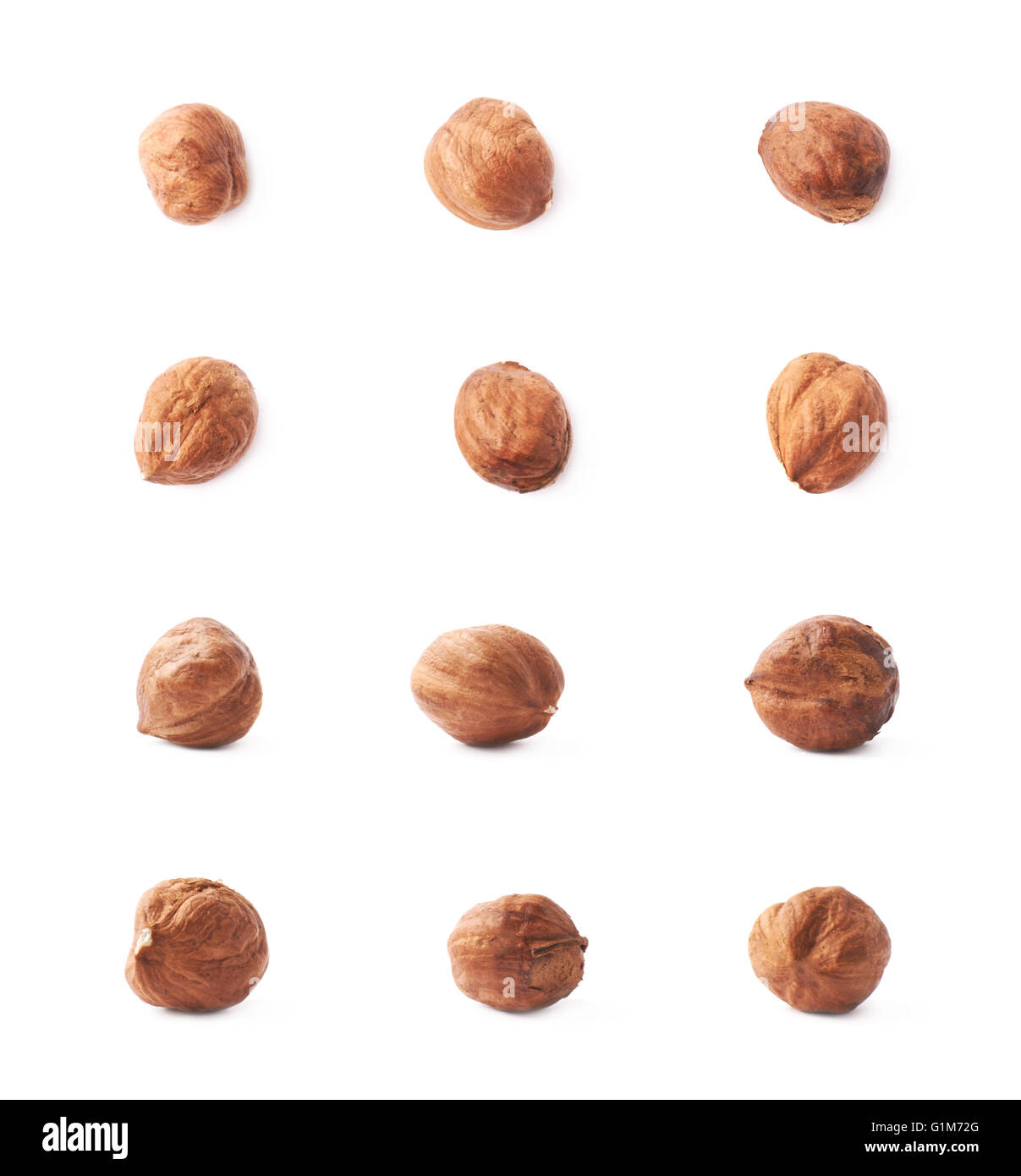 Single hazelnut isolated Stock Photo - Alamy