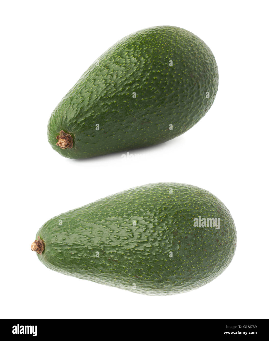 Single ripe avocado fruit isolated Stock Photo - Alamy