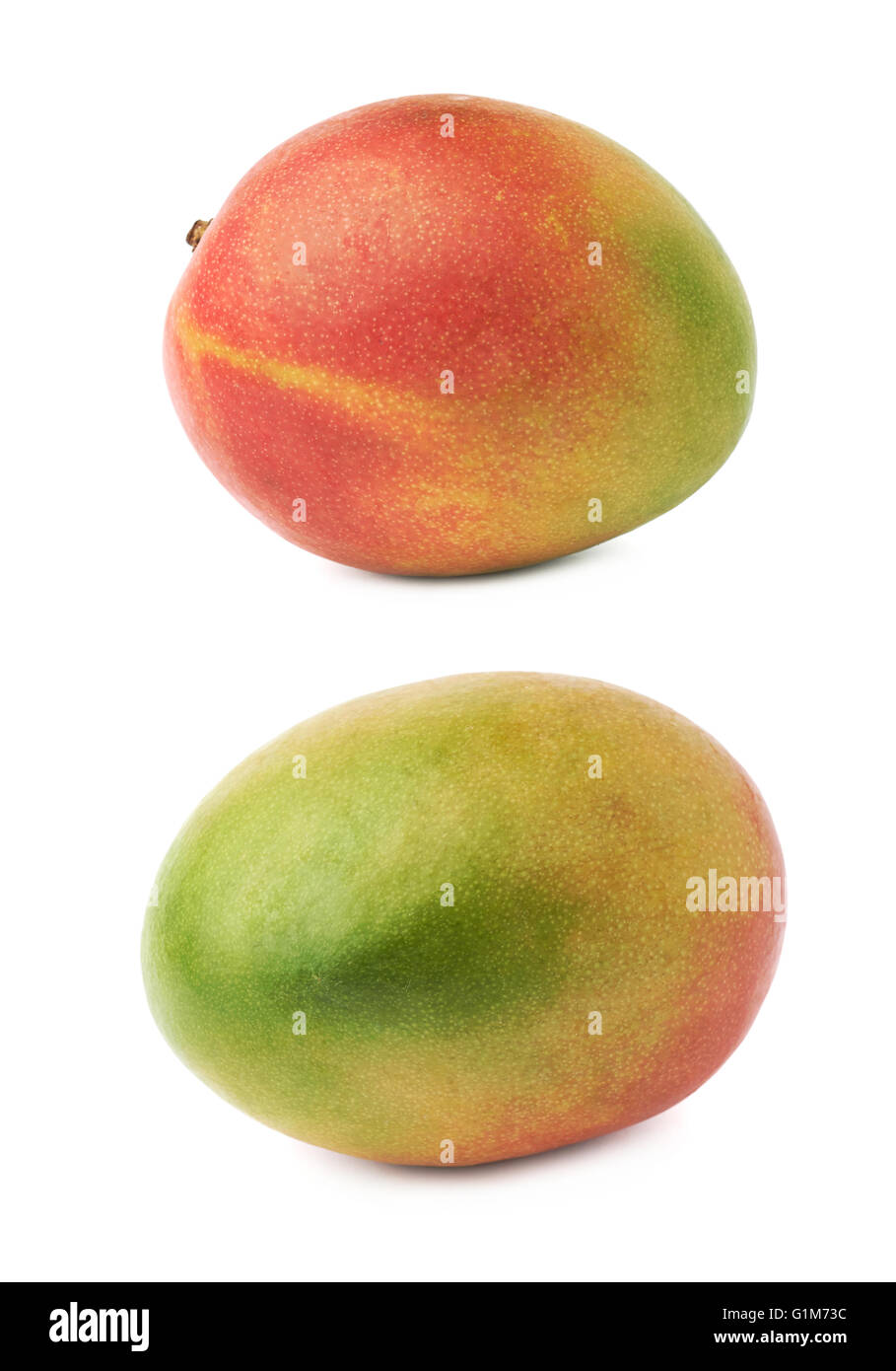 Single mango fruit isolated Stock Photo - Alamy