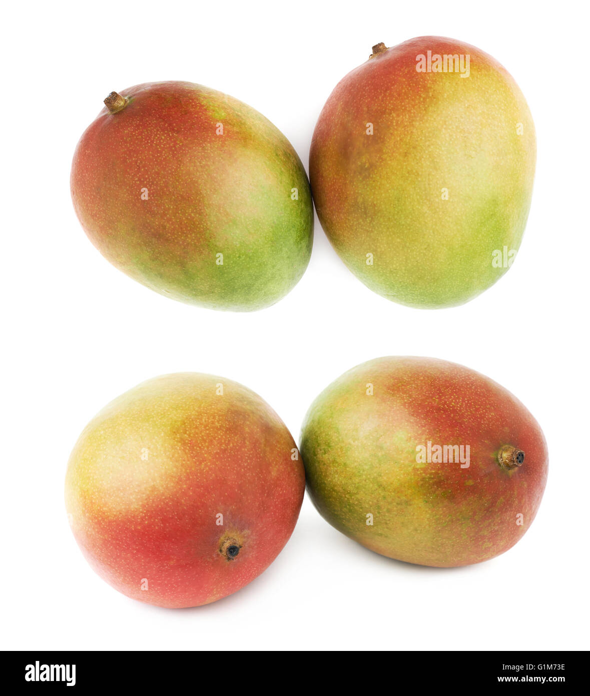 Two mango fruits isolated Stock Photo - Alamy