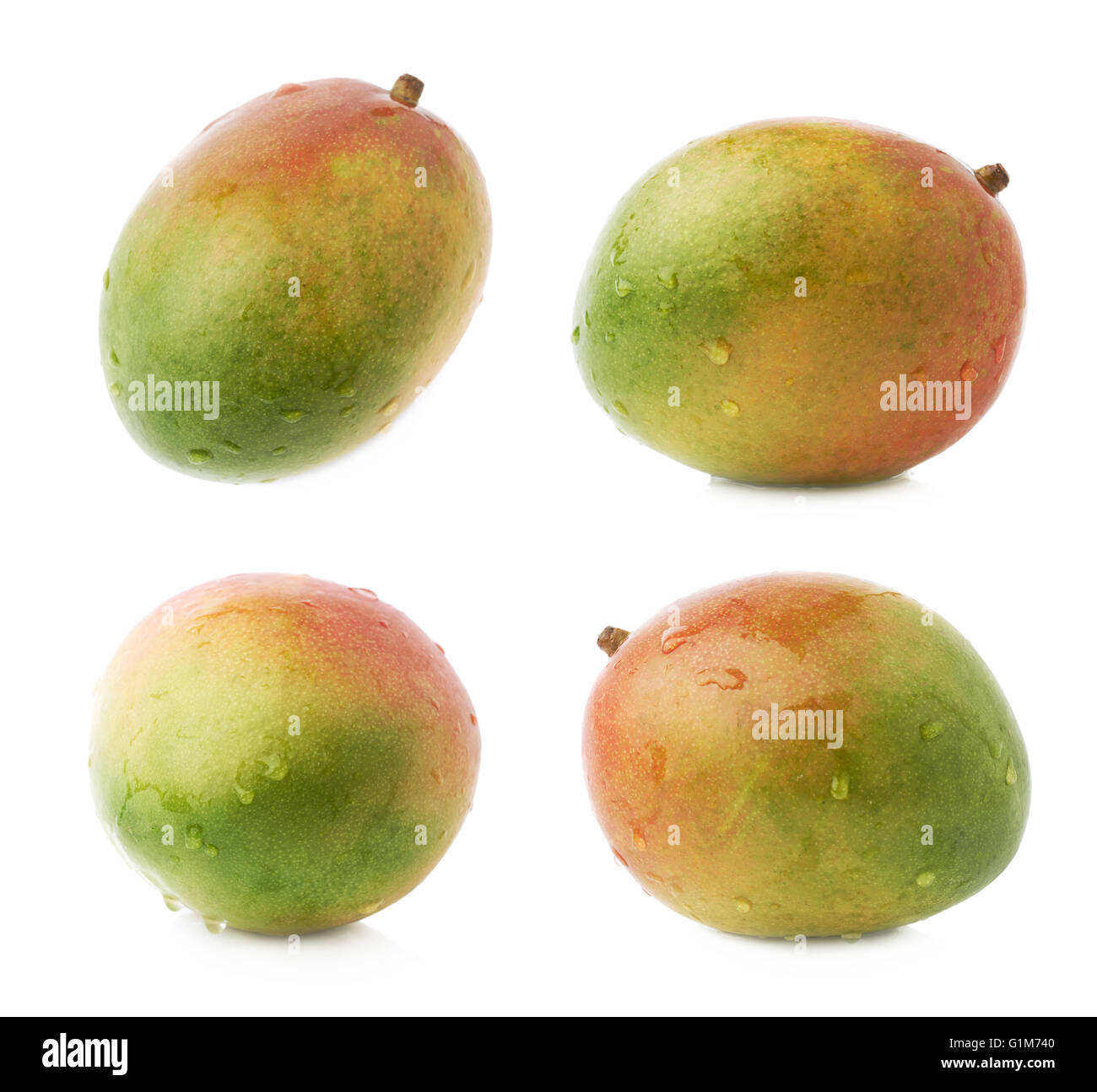 Single mango fruit isolated Stock Photo - Alamy