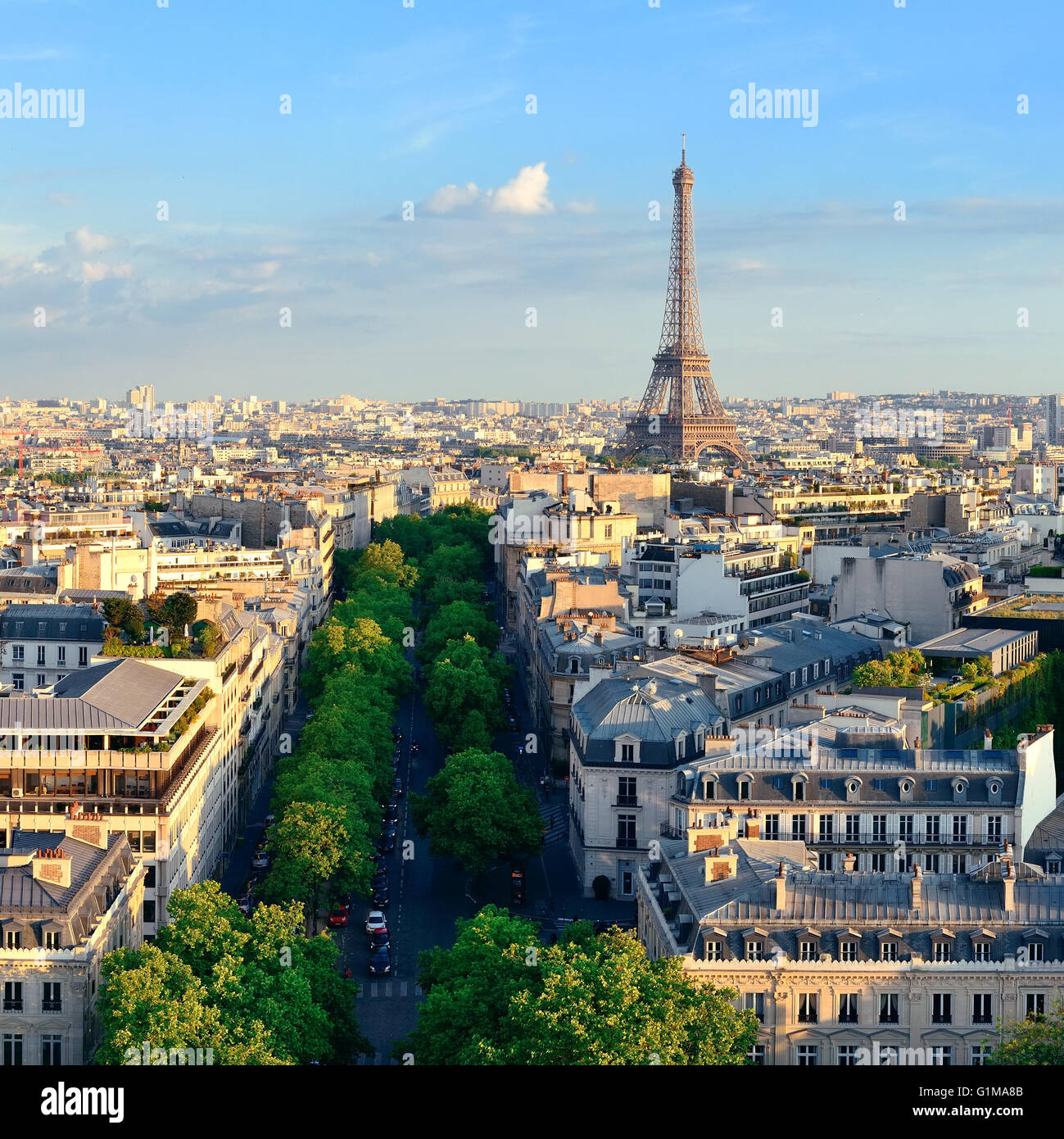 Paris rooftop view skyline and Eiffel Tower in France Stock Photo - Alamy