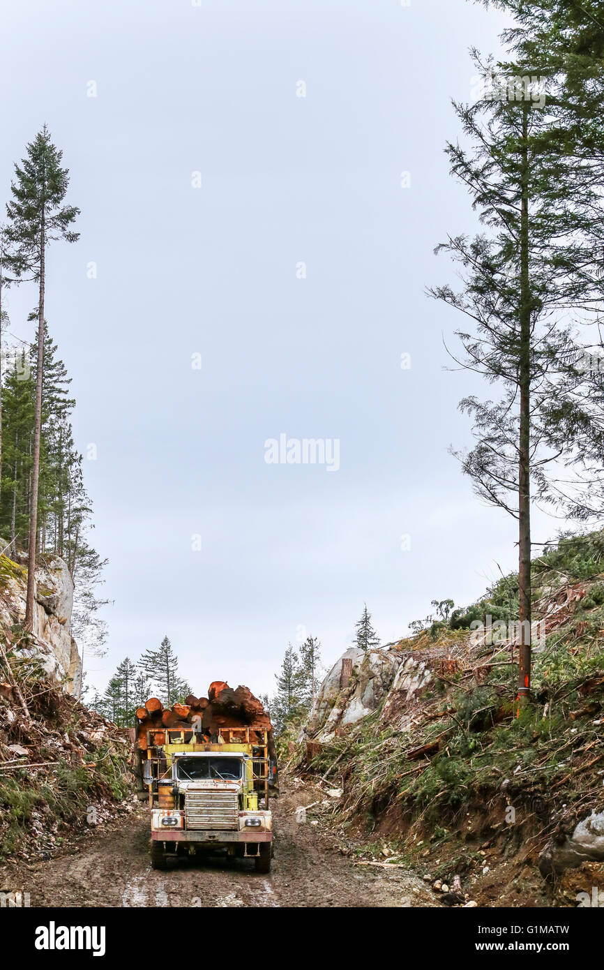 Logging truck on road hi-res stock photography and images - Alamy