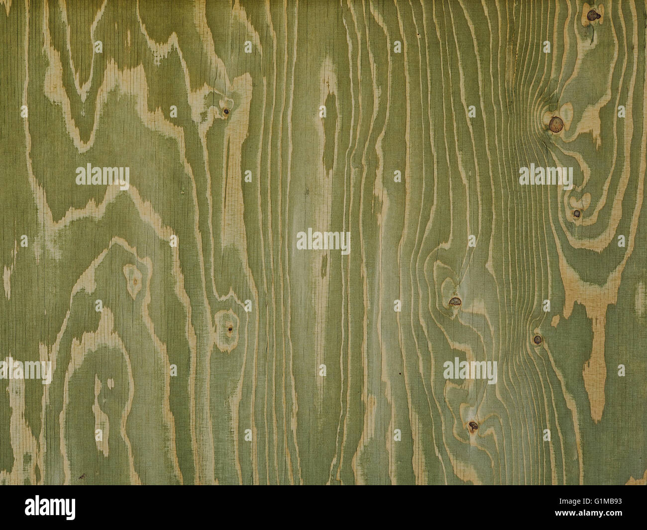 greenish wood panel with streaks created by knots and wavy shaped veins ...
