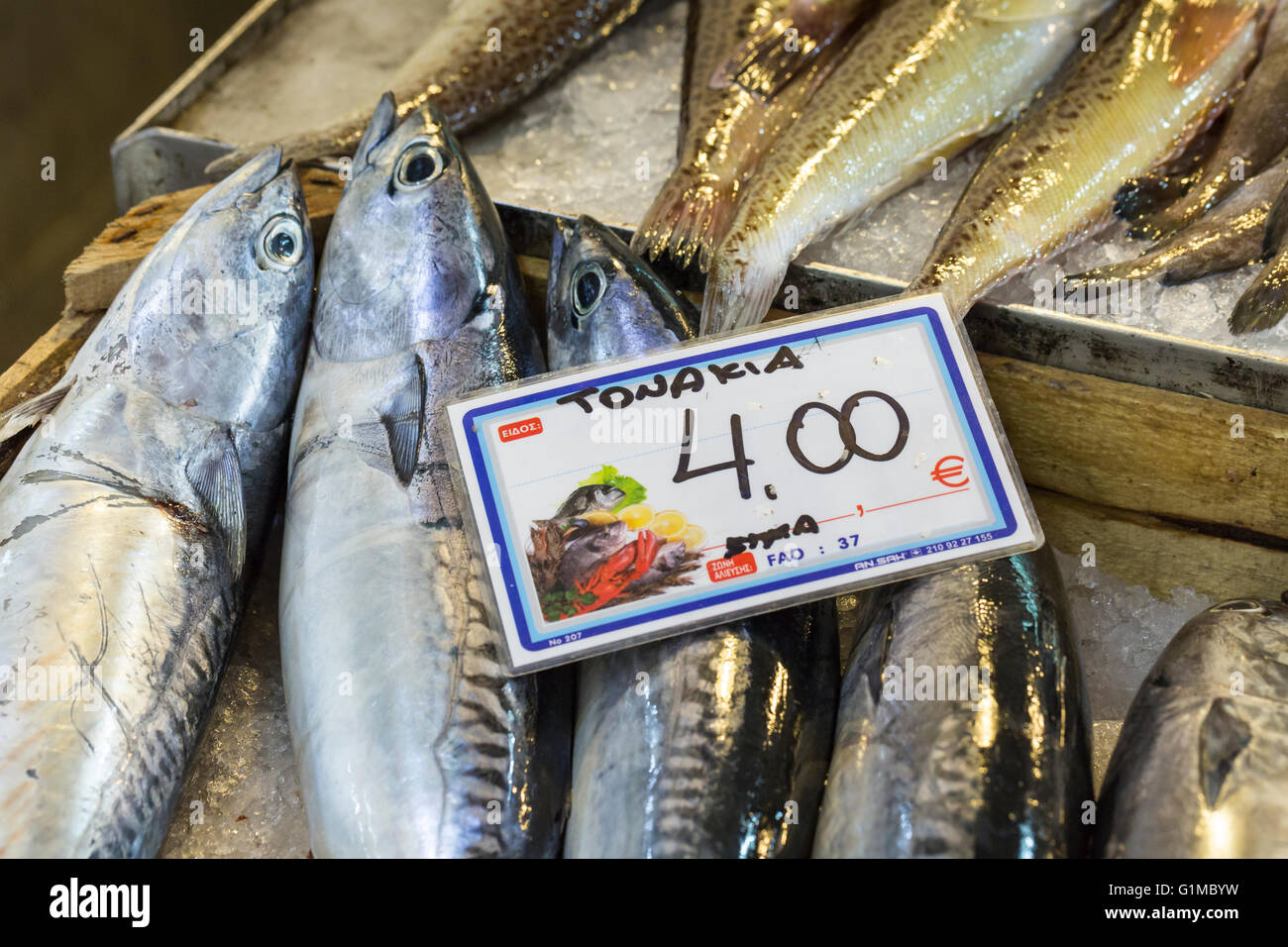 Fresh fish in the fish market - Greece Stock Photo - Alamy