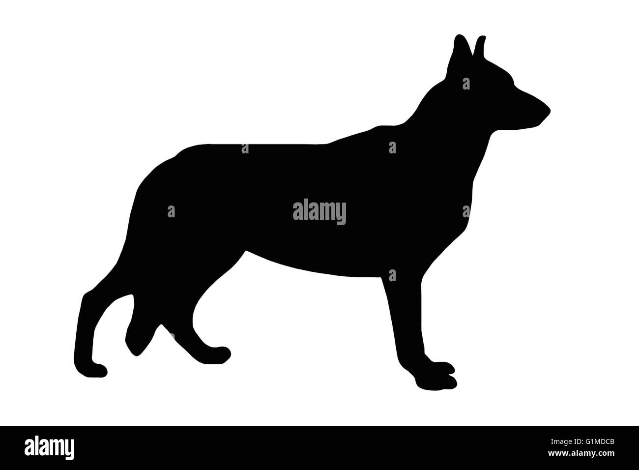 Beware of dog signs hi-res stock photography and images - Alamy