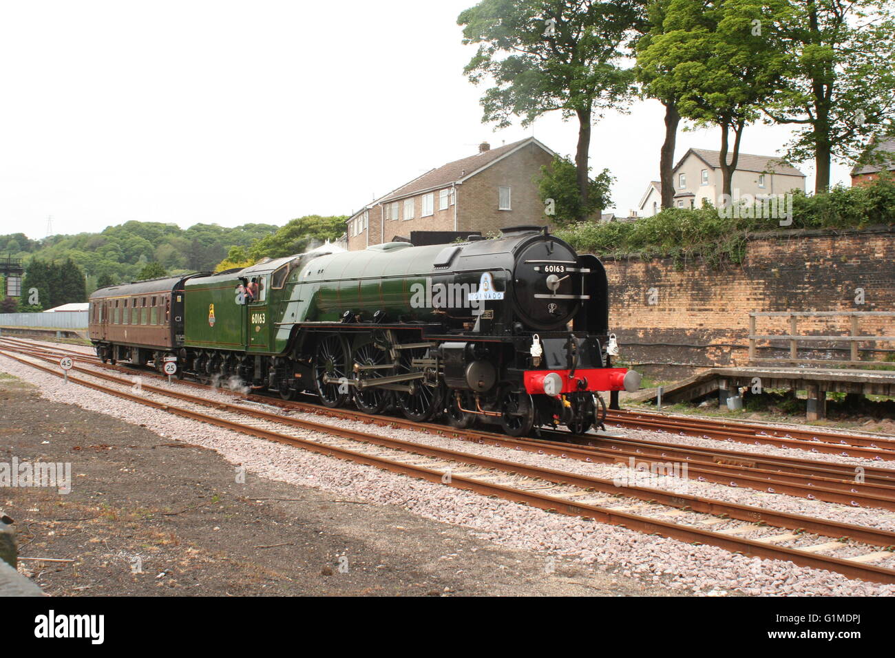 60163 Tornado at Scarborough fresh after repaint into BR Green Stock ...