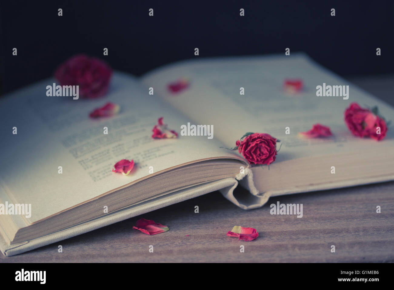 Open Book Red Rose High Resolution Stock Photography and Images - Alamy