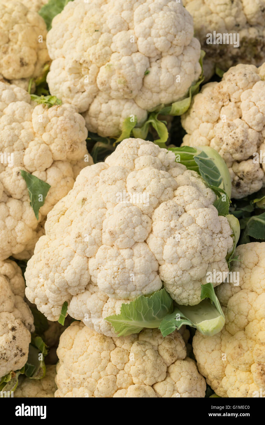 Fresh cauliflower in market Stock Photo - Alamy