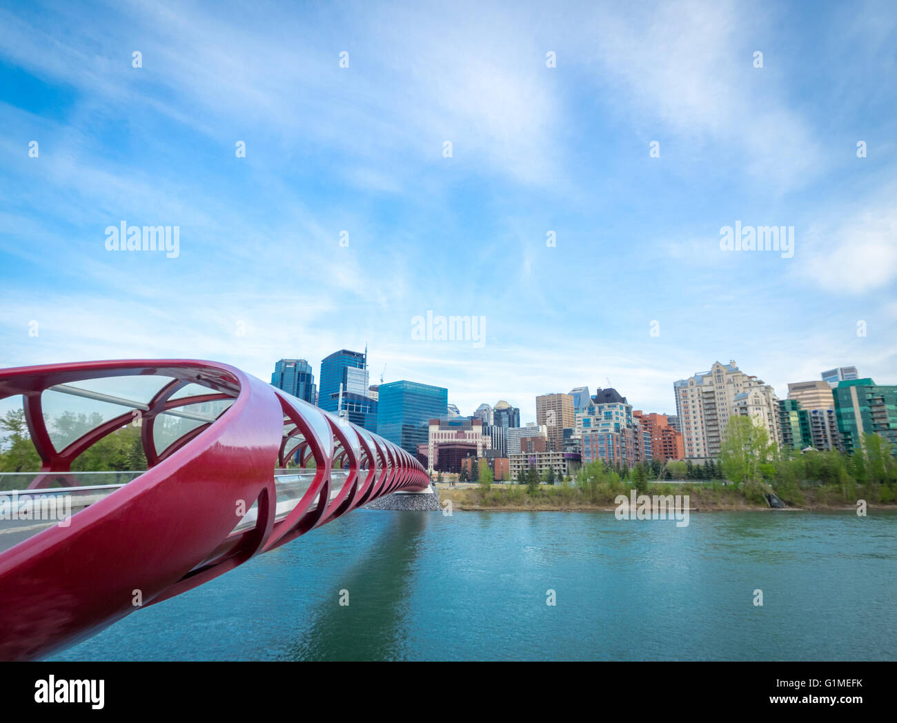 A view of the Peace Bridge (designed by Santiago Calatrava) and the ...