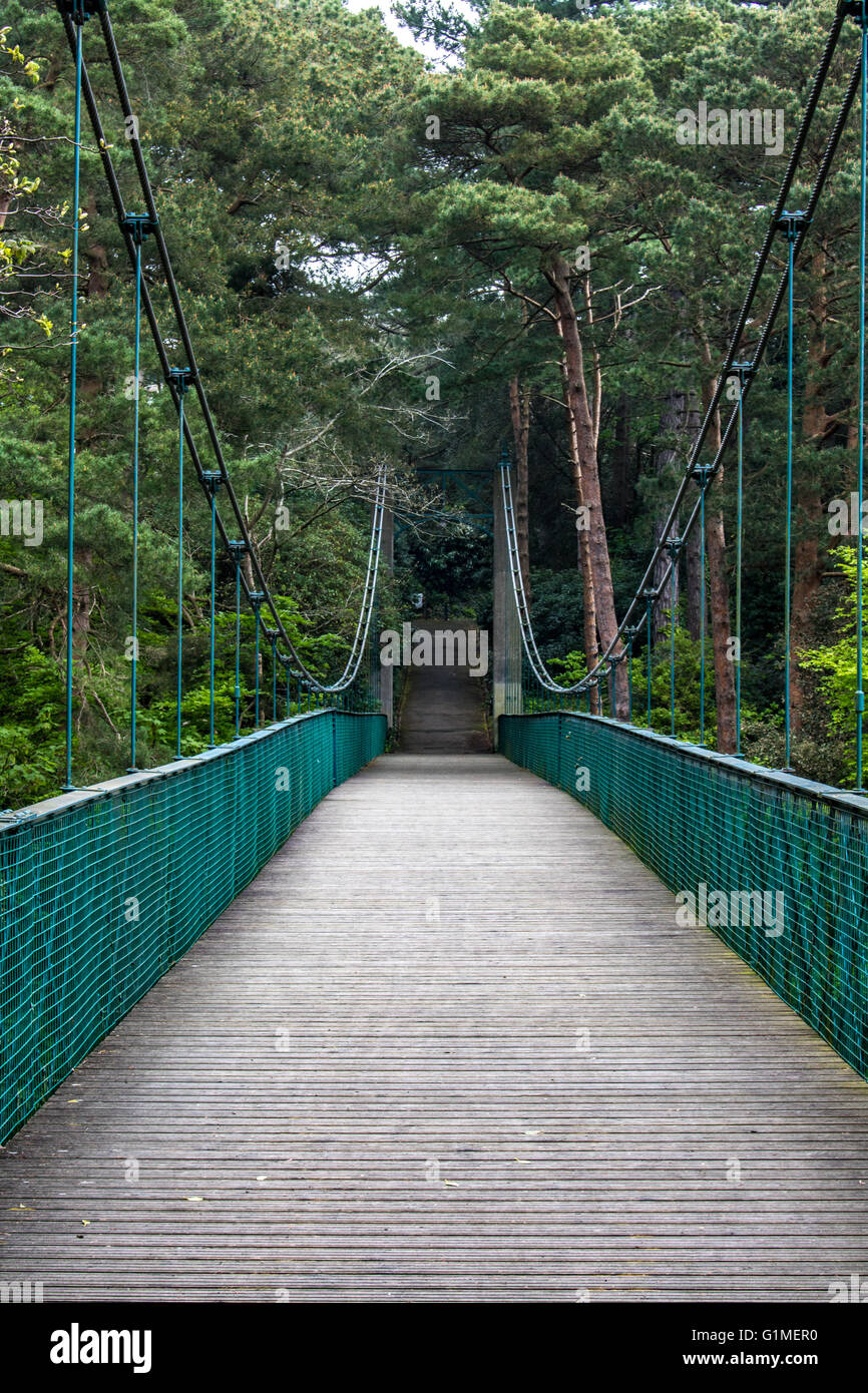 Alum chine suspension bridge hi-res stock photography and images - Alamy