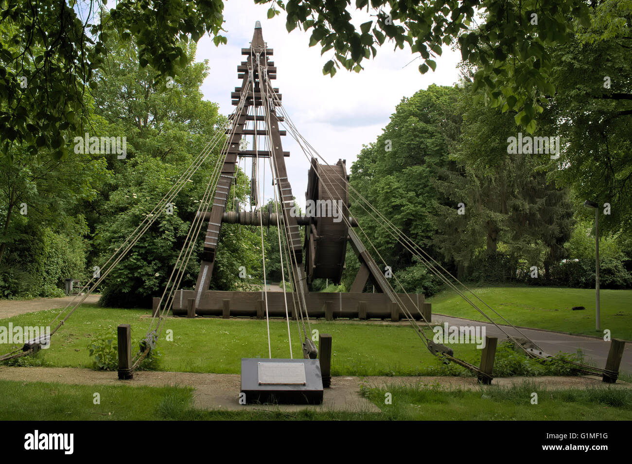 Polyspastos hi-res stock photography and images - Alamy