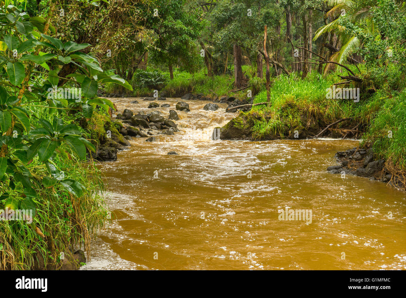 Stream flowing landscape hi-res stock photography and images - Alamy