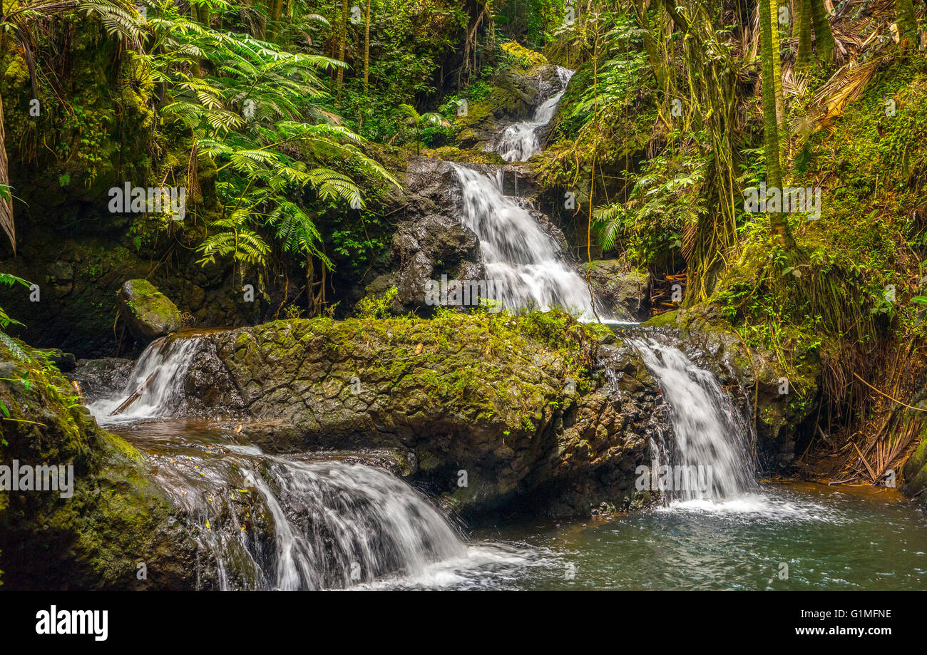 Onomea Falls located north of Hilo on the Big Island of Hawaii Stock ...