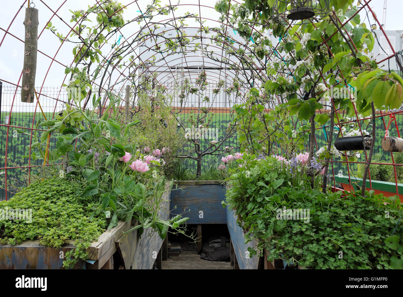 Plant wire cage hi-res stock photography and images - Alamy