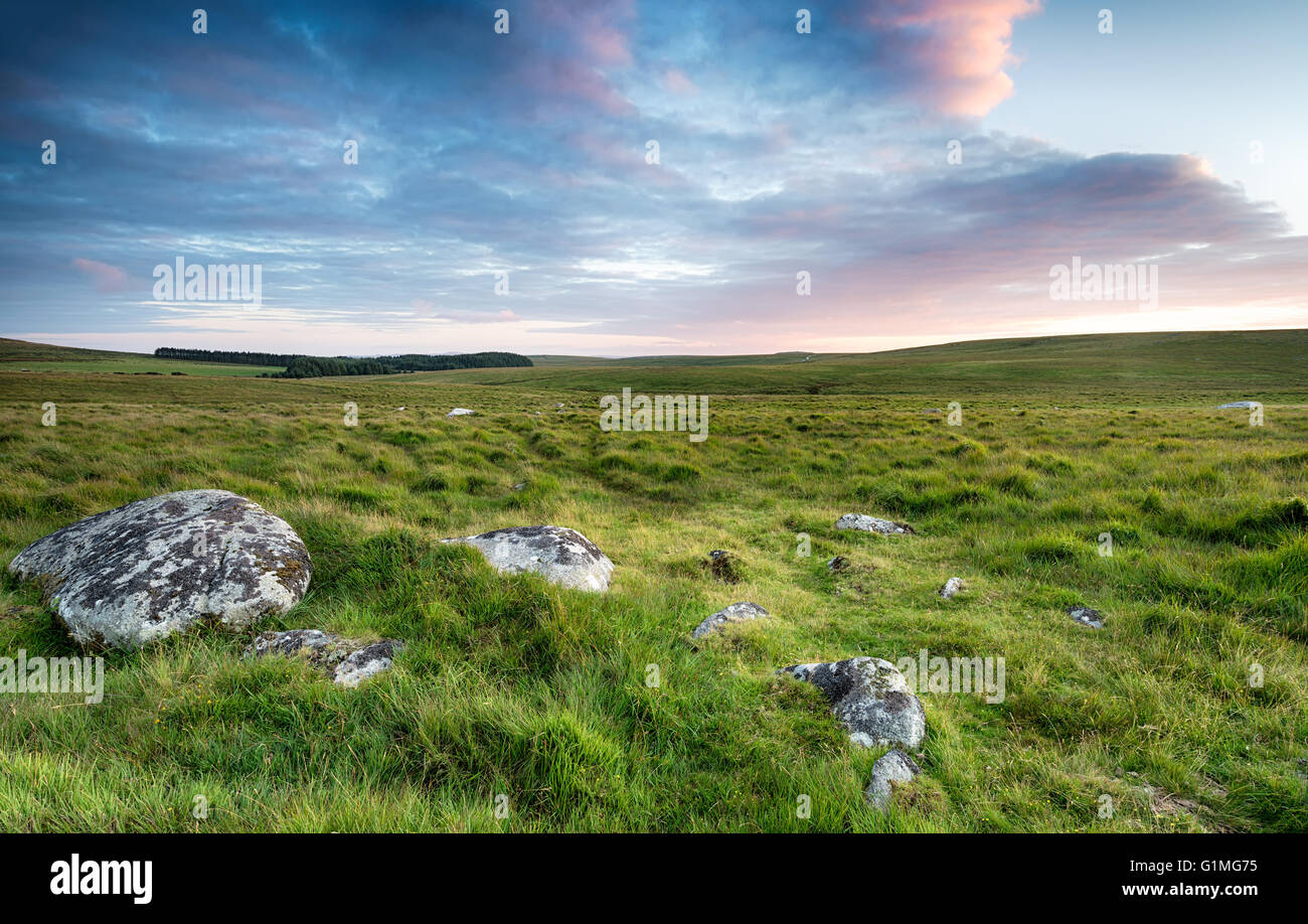 Grassy Plains High Resolution Stock Photography and Images - Alamy