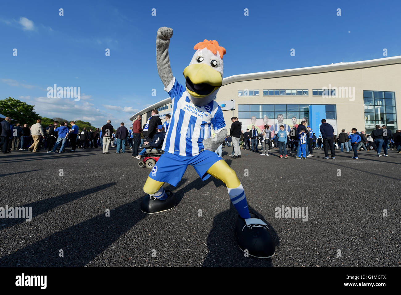 Gully the Brighton mascot before the Sky Bet Championship Play Off Semi ...