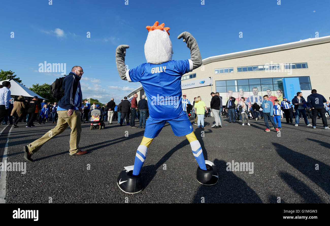 Gully the Brighton mascot before the Sky Bet Championship Play Off Semi ...