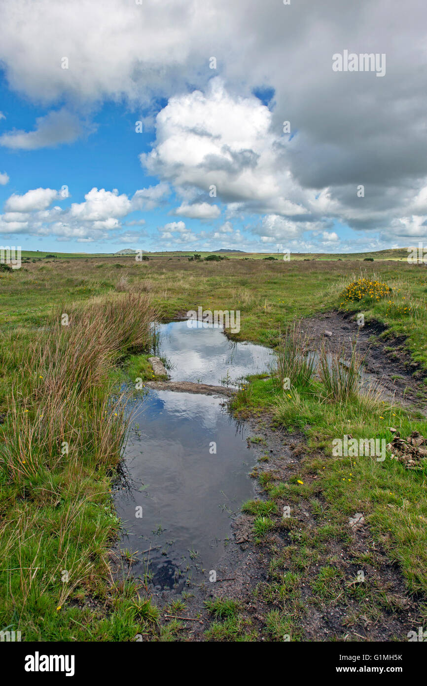 moorland puddles form shallow pool white clouds drifting across a soft ...