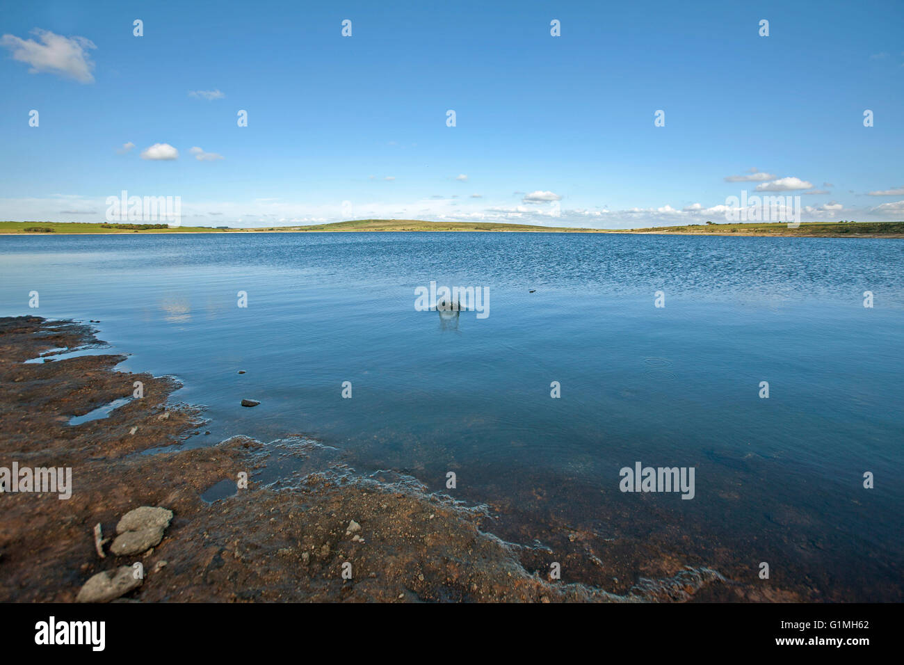 splash,on still lake blue sky Colliford reservoir lake Bodmin Moor ...