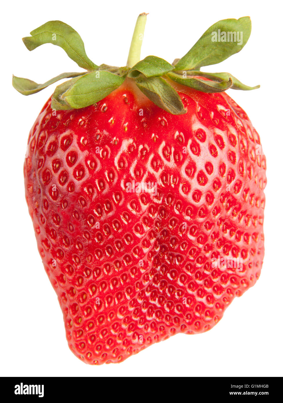 Single Strawberry Isolated on White Background Stock Photo - Alamy