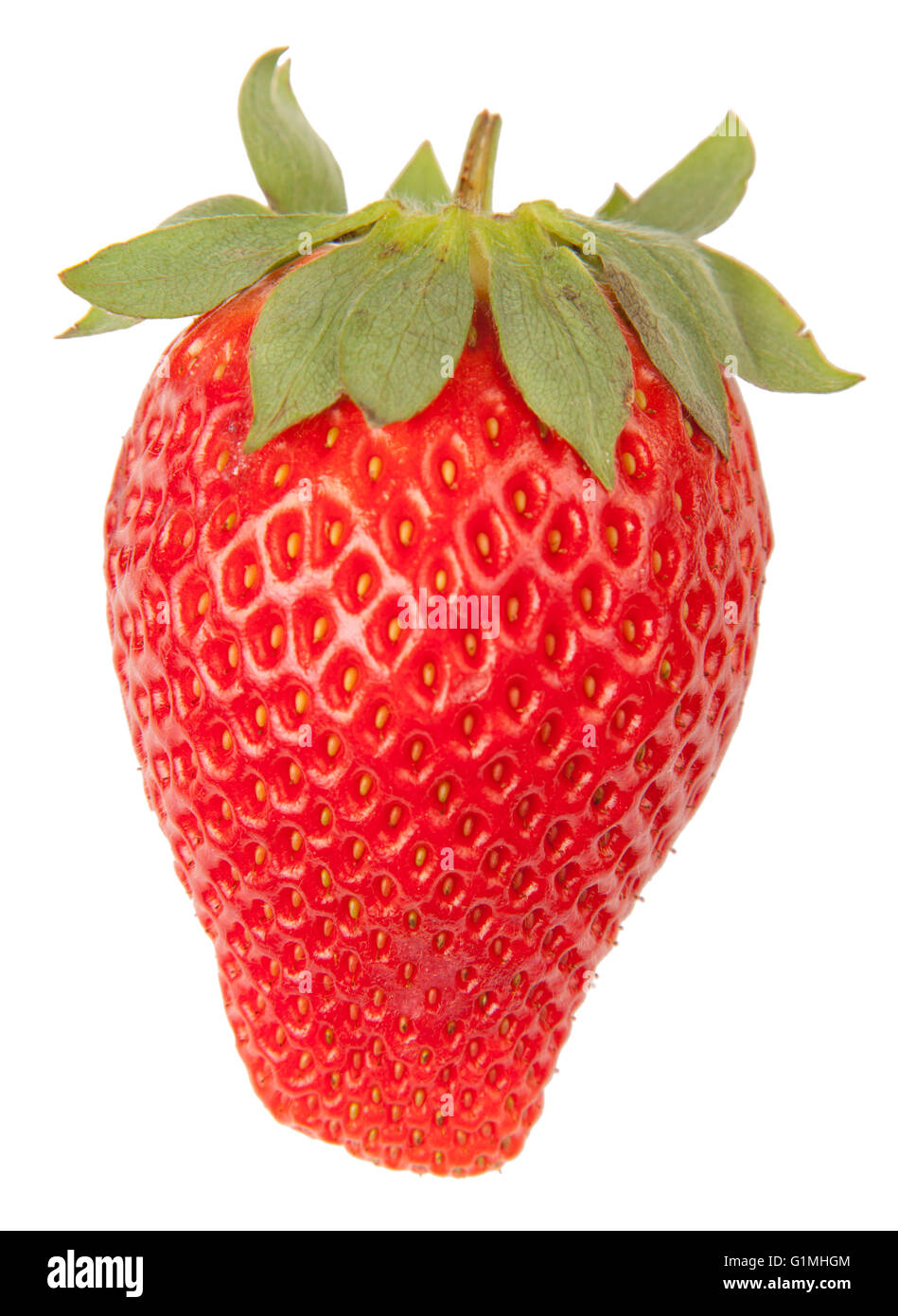 Single Strawberry Isolated on White Background Stock Photo - Alamy
