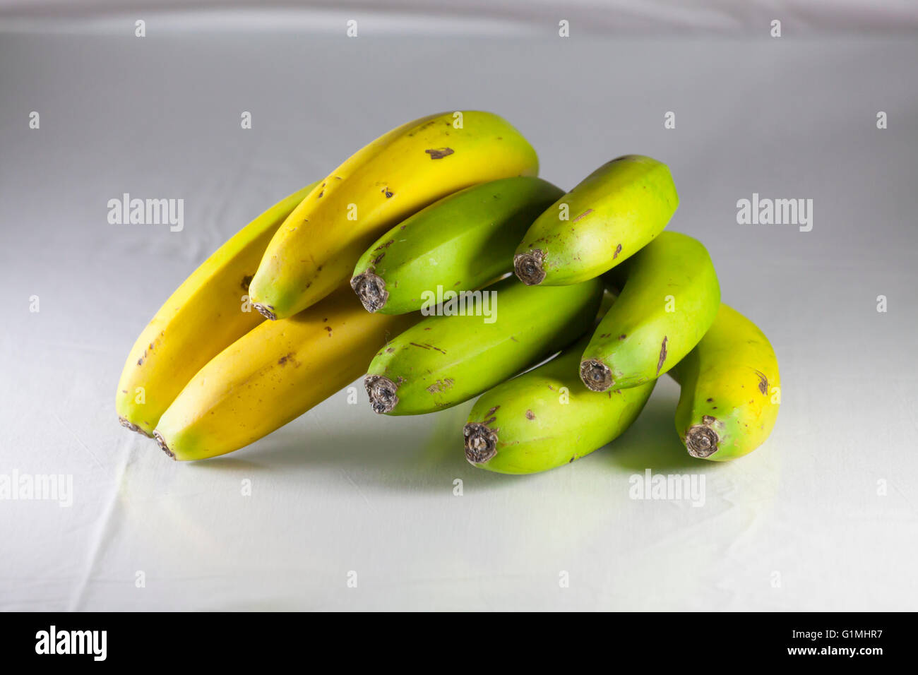 Platano platano hi-res stock photography and images - Alamy