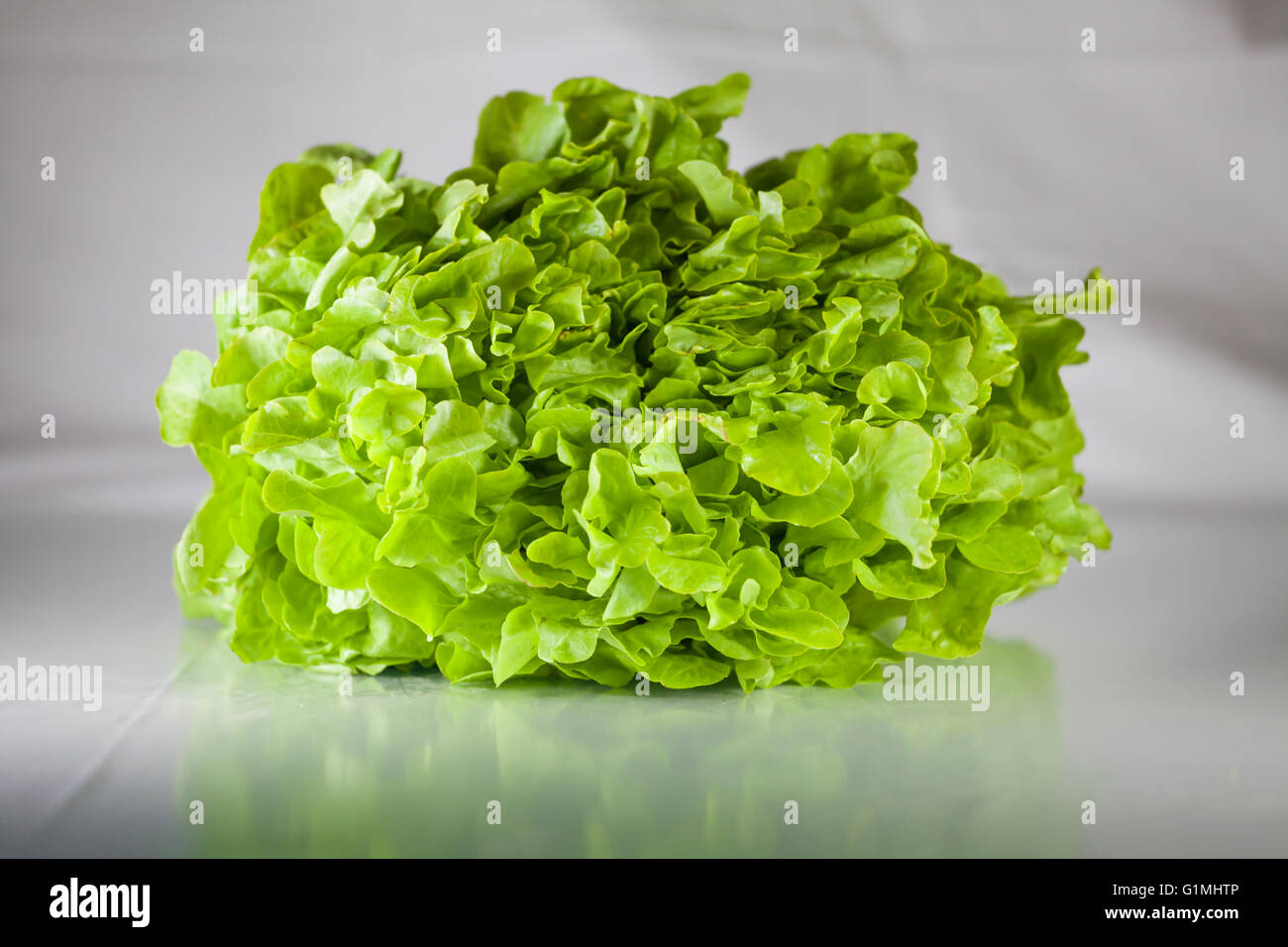 Lechuga hi-res stock photography and images - Alamy