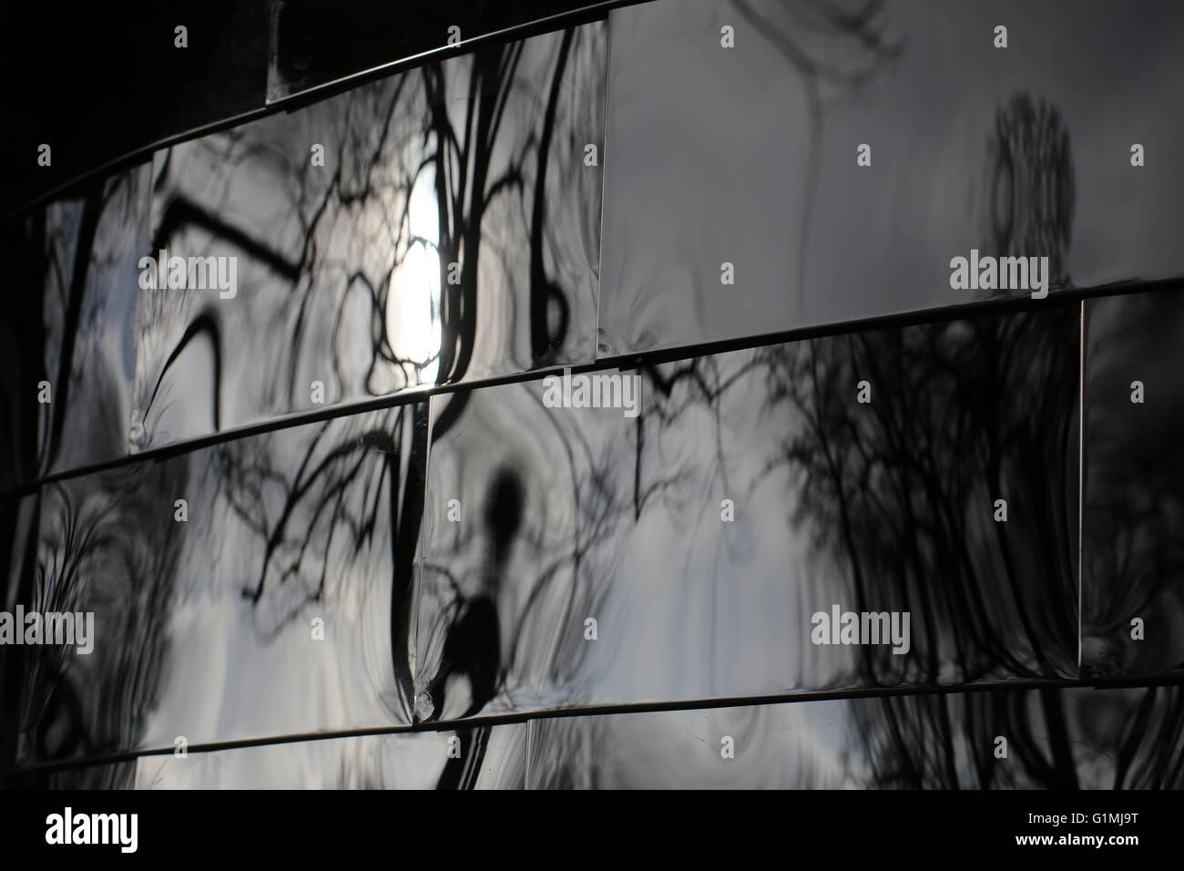 Distorted tree image hi-res stock photography and images - Alamy