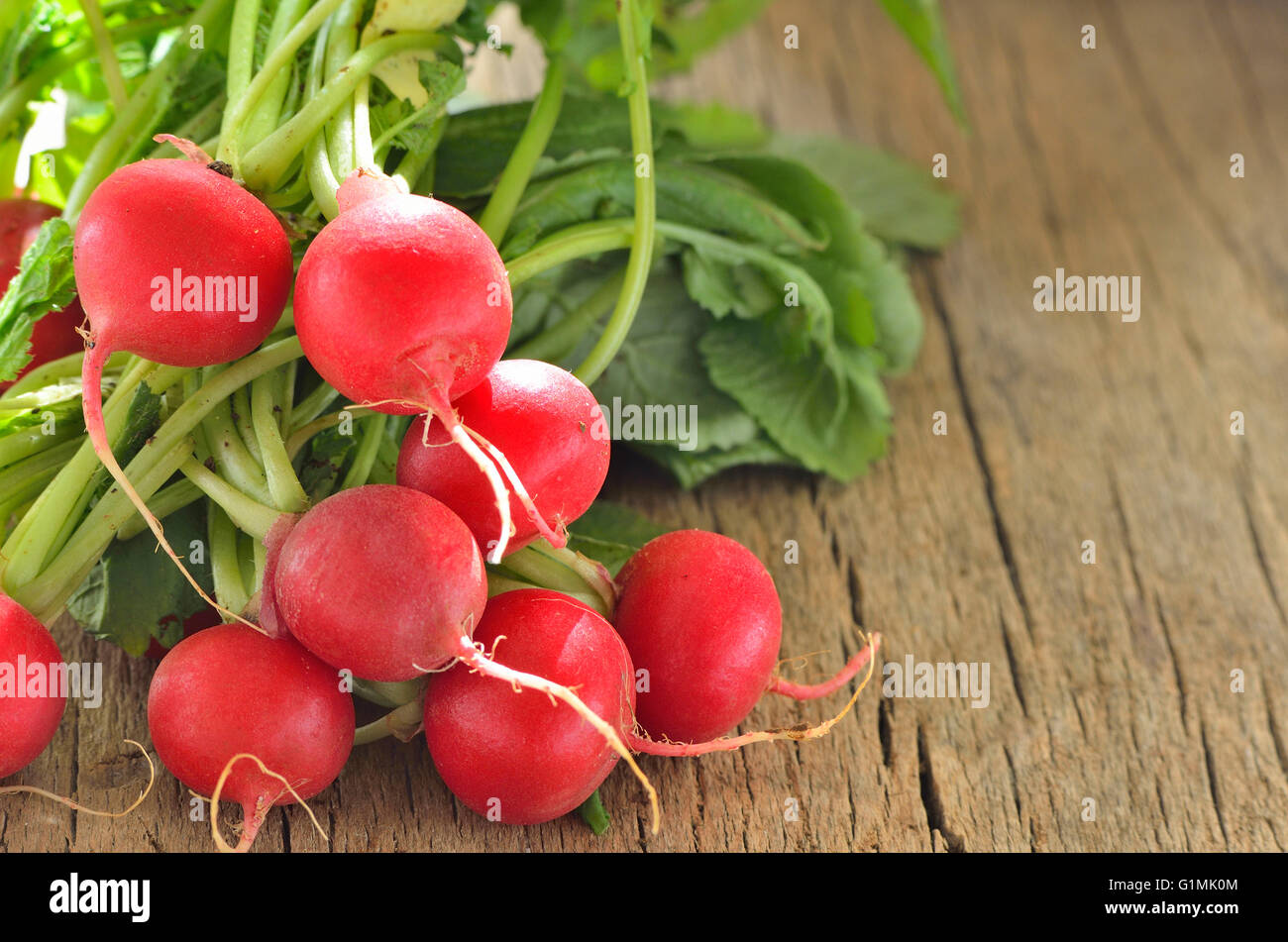 Old radish hi-res stock photography and images - Alamy