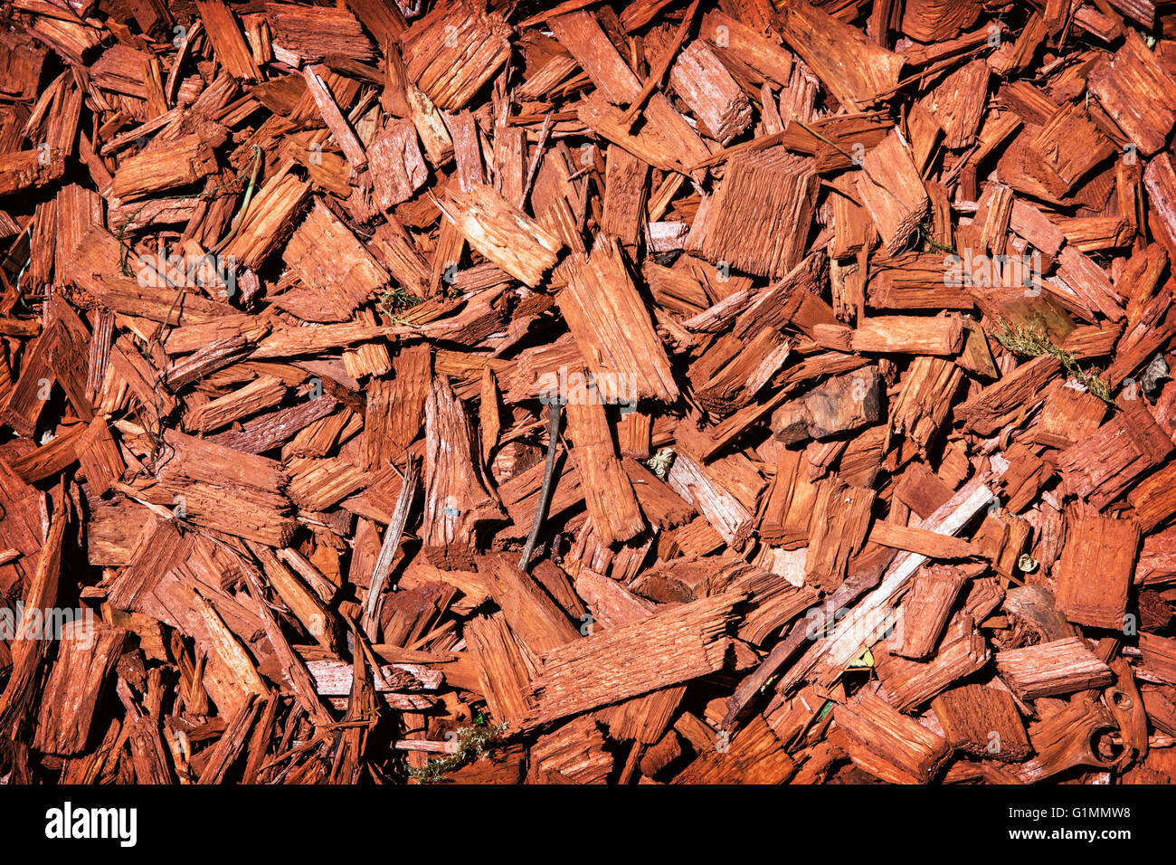 Natural background of red mulch. Close up photo Stock Photo - Alamy