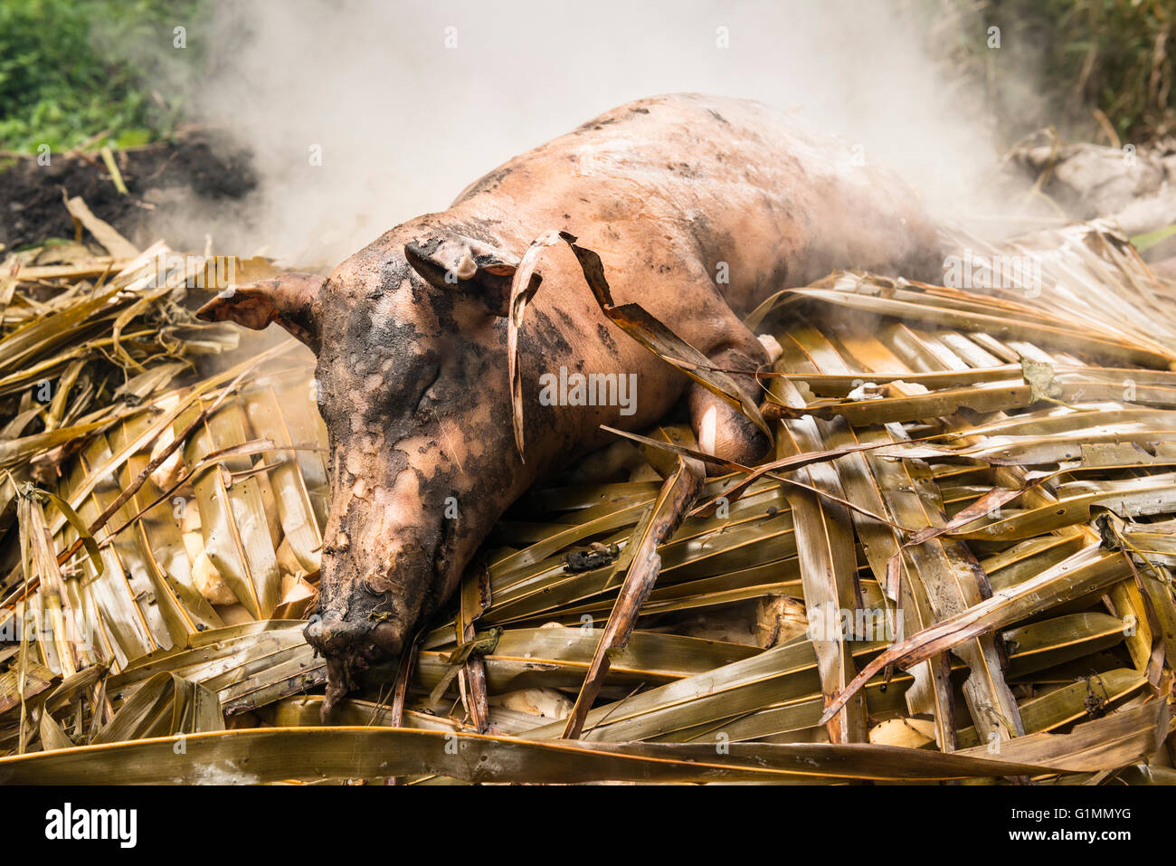 Fiji traditional wedding hi-res stock photography and images - Alamy