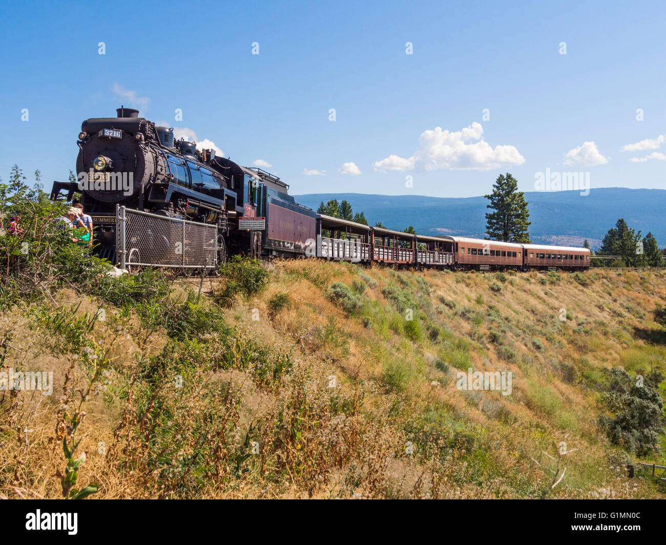 1912 steam locomotive 3716, 'Spirit of Summerland, pulls a train on the ...
