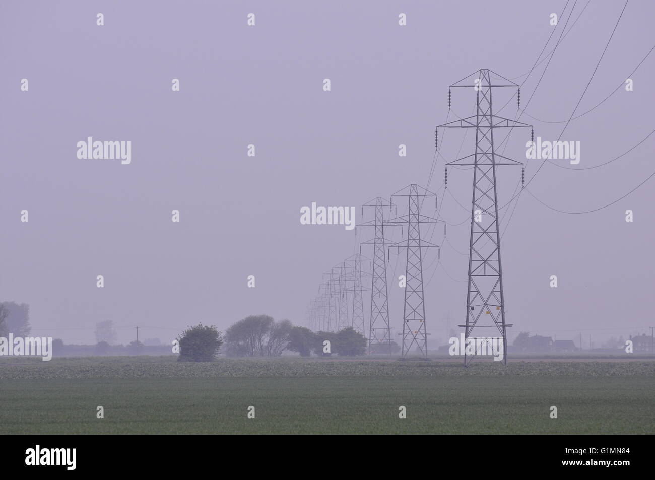 On Holbeach Marsh south of Holbeach St Marks, south Lincolnshire Fens ...