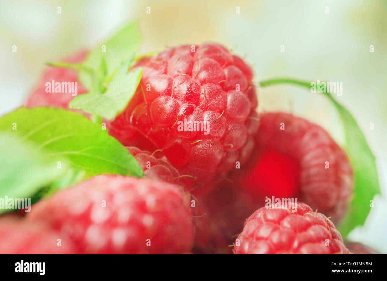 Nice fresh big ripe raspberry for desert and healthy eating Stock Photo ...