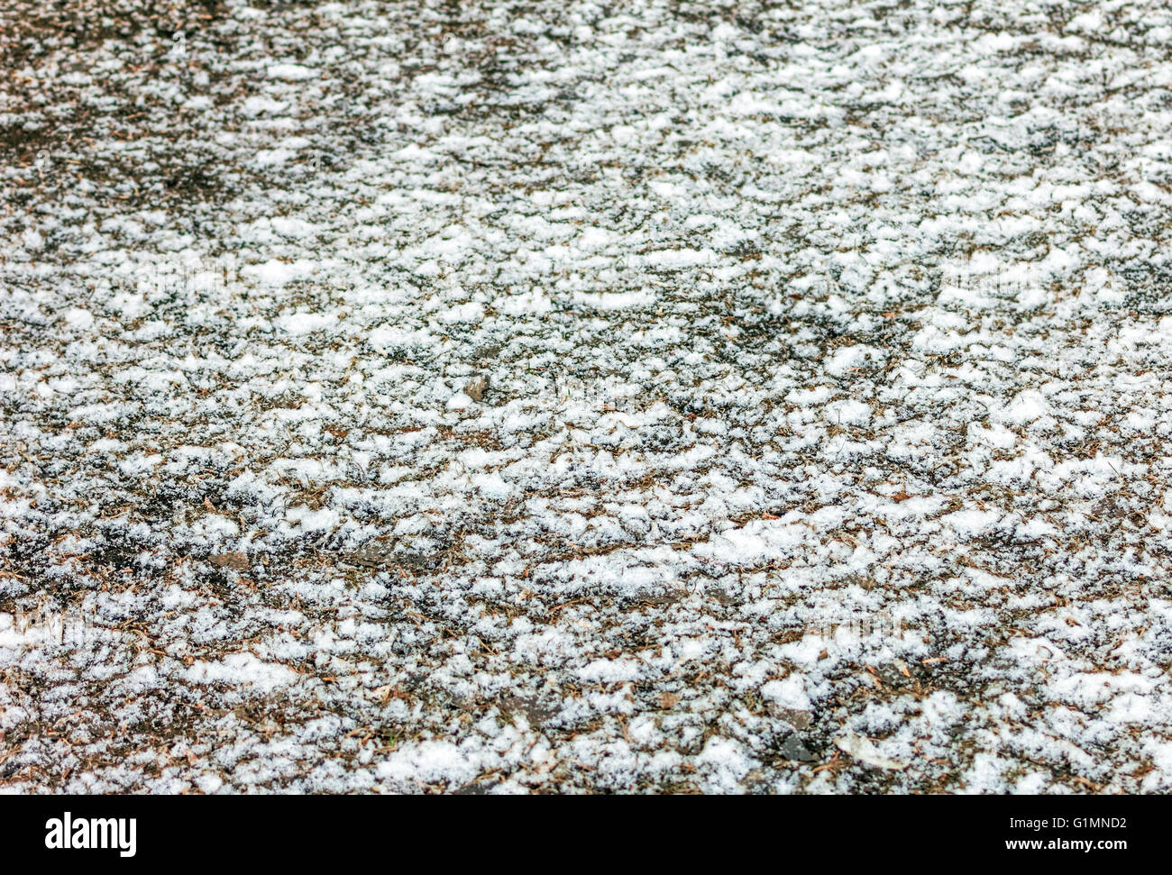 First its kind hi-res stock photography and images - Alamy