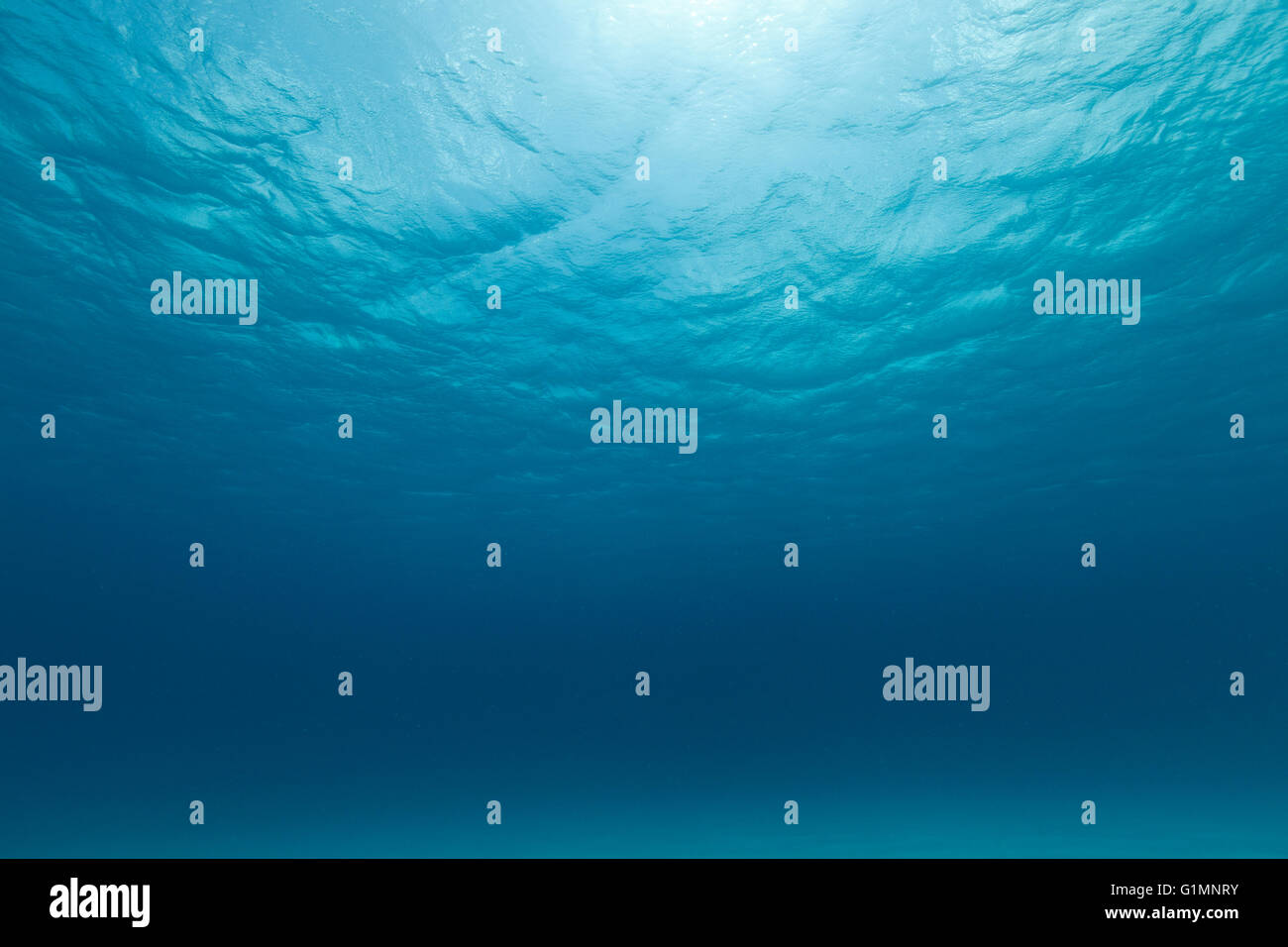 The underwater scene hi-res stock photography and images - Alamy