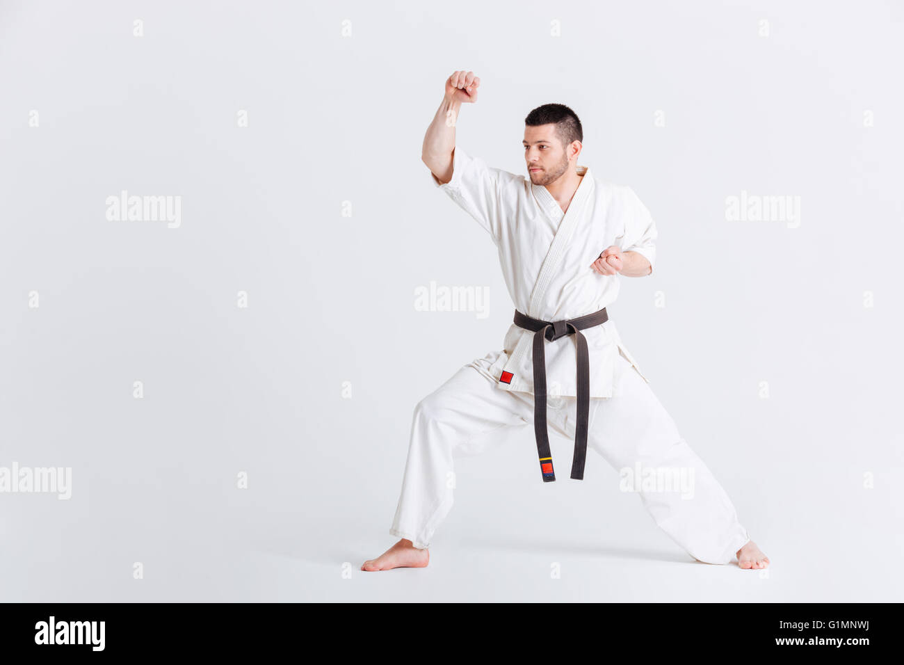 Male fighter training isolated on a white background Stock Photo - Alamy