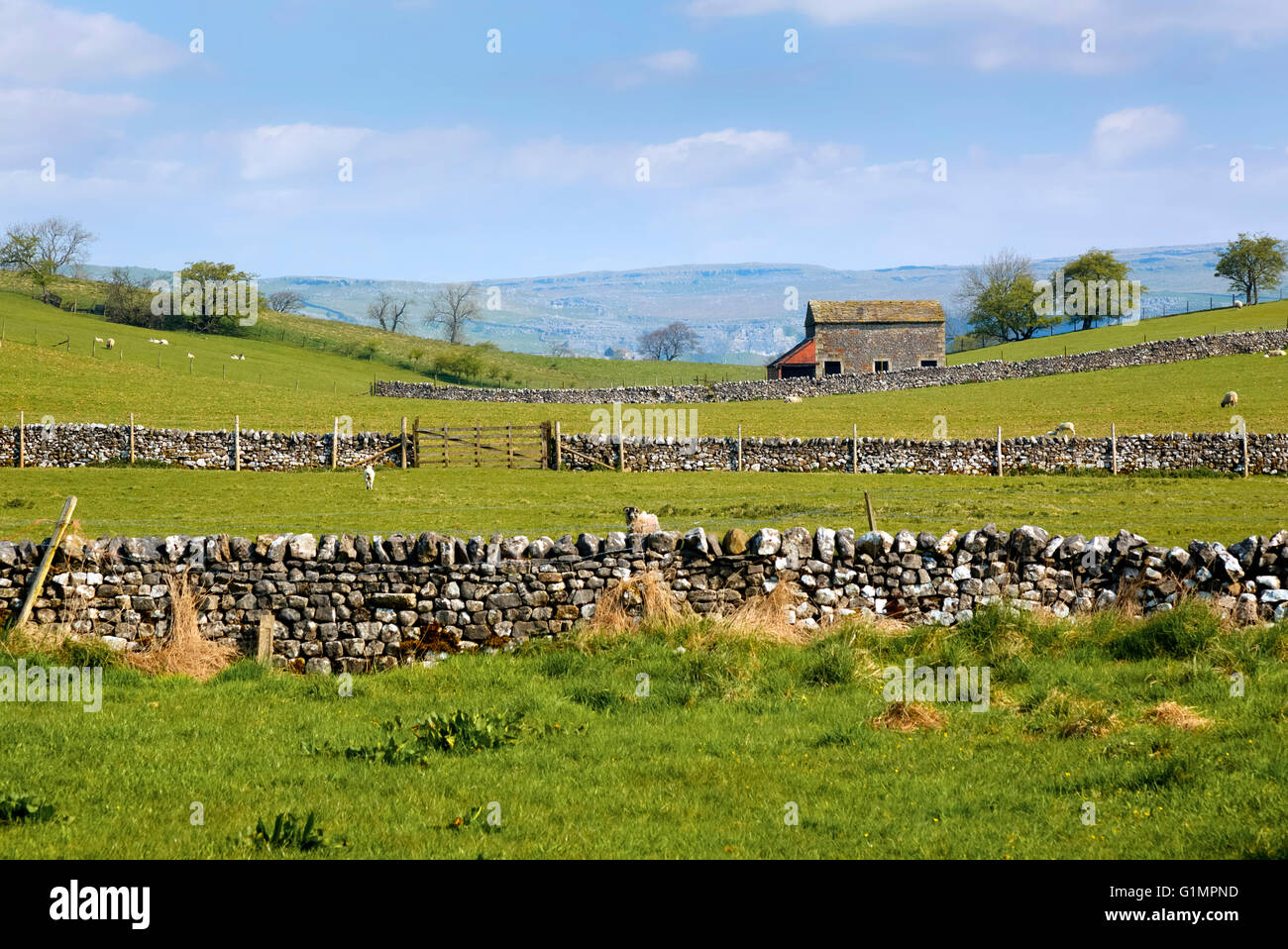 Malham, Craven, North Yorkshire, England, UK Stock Photo - Alamy