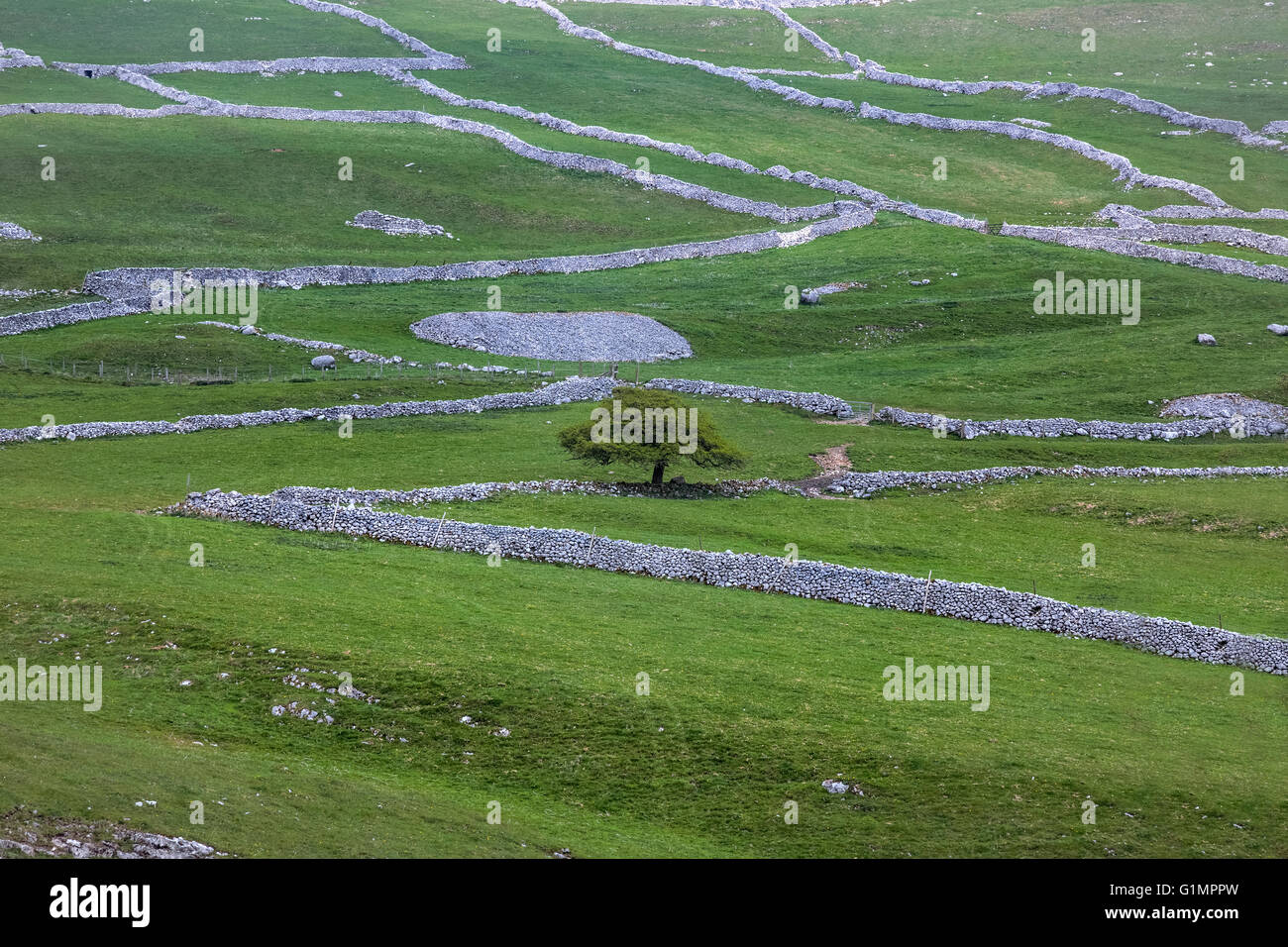 Craven hi-res stock photography and images - Alamy