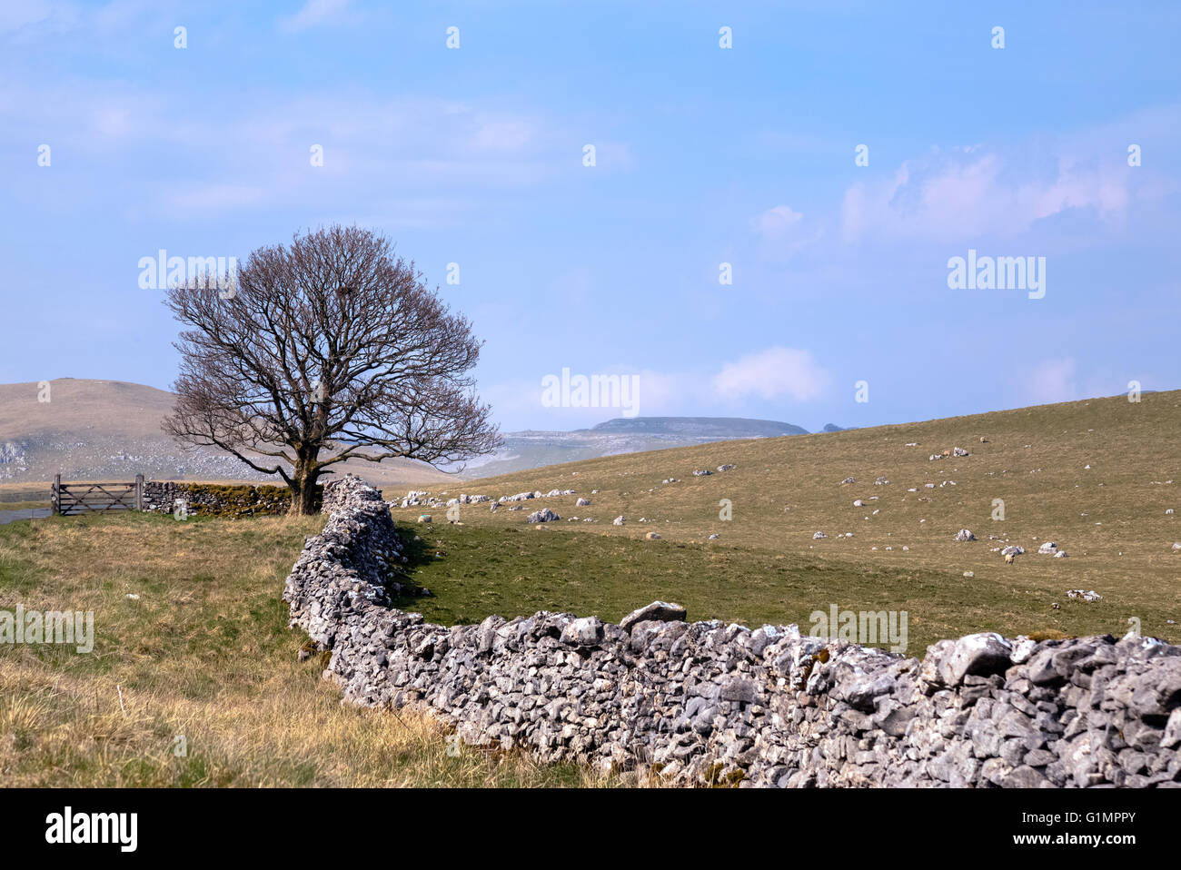 The craven hi-res stock photography and images - Alamy