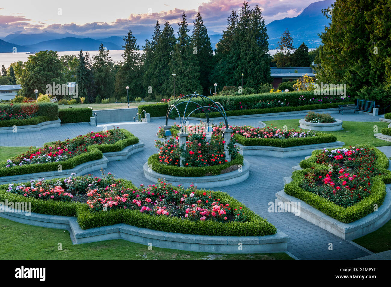 British columbia ubc vancouver rose garden hi-res stock photography and ...