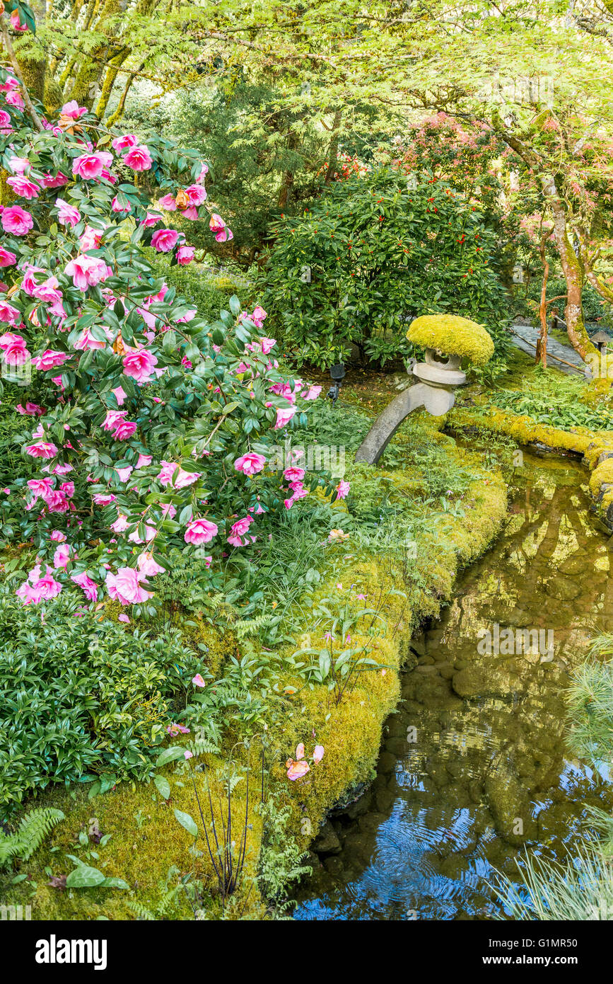 Moss covered stone lantern, Butchart Gardens, Brentwood Bay, near ...