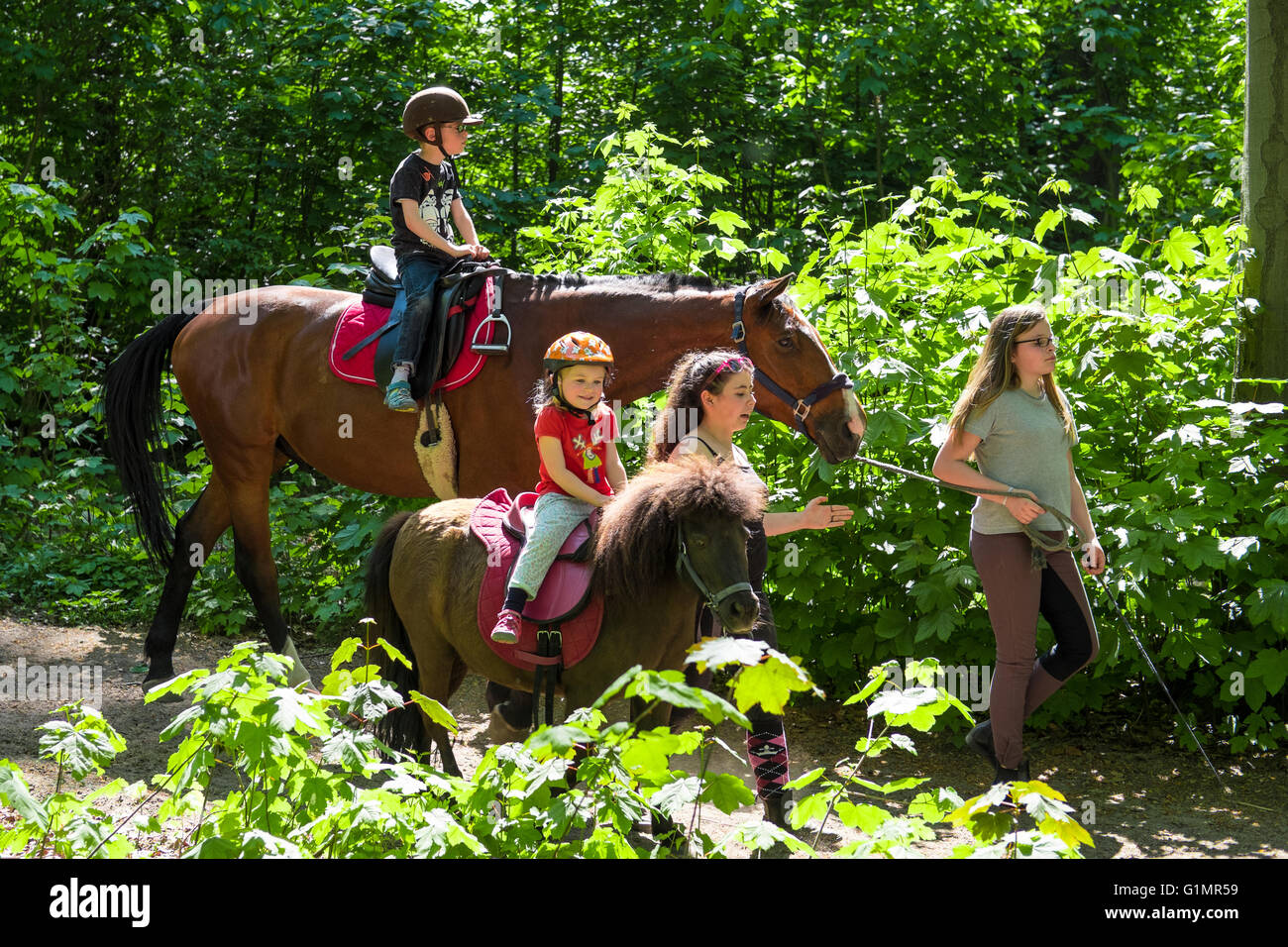 Children riding ponies in a park, Germany Stock Photo - Alamy