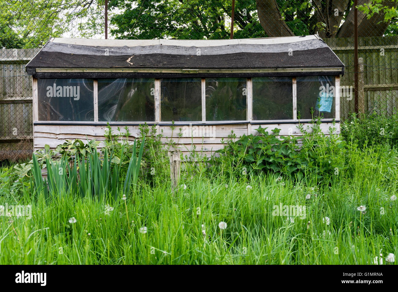 Garden weeds overgrown hi-res stock photography and images - Alamy