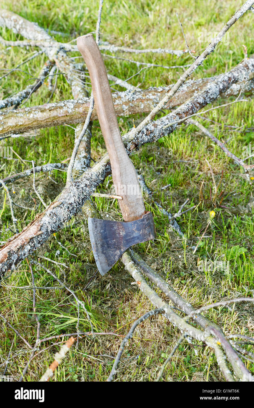 Ax branches old trees hi-res stock photography and images - Alamy