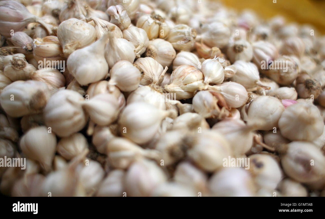 Garlic -Pile Of Garlic / Stack Of Garlic for background Stock Photo - Alamy