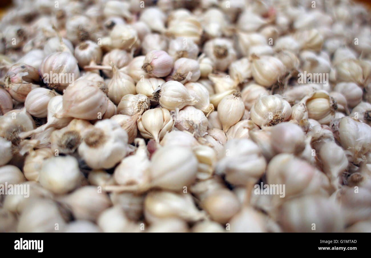 Garlic -Pile Of Garlic / Stack Of Garlic for background Stock Photo - Alamy